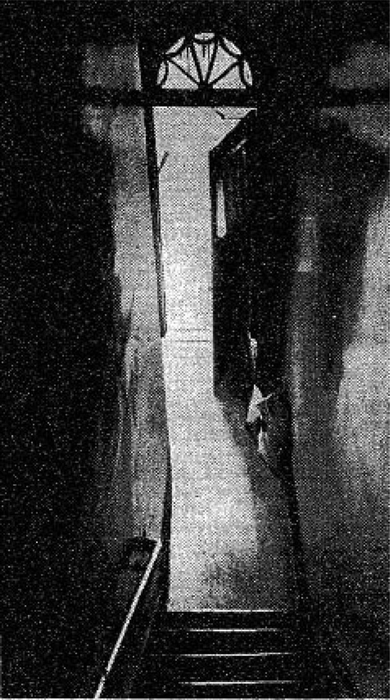 Kitty Genovese kimdir? Genovese cinayeti ve sendromu